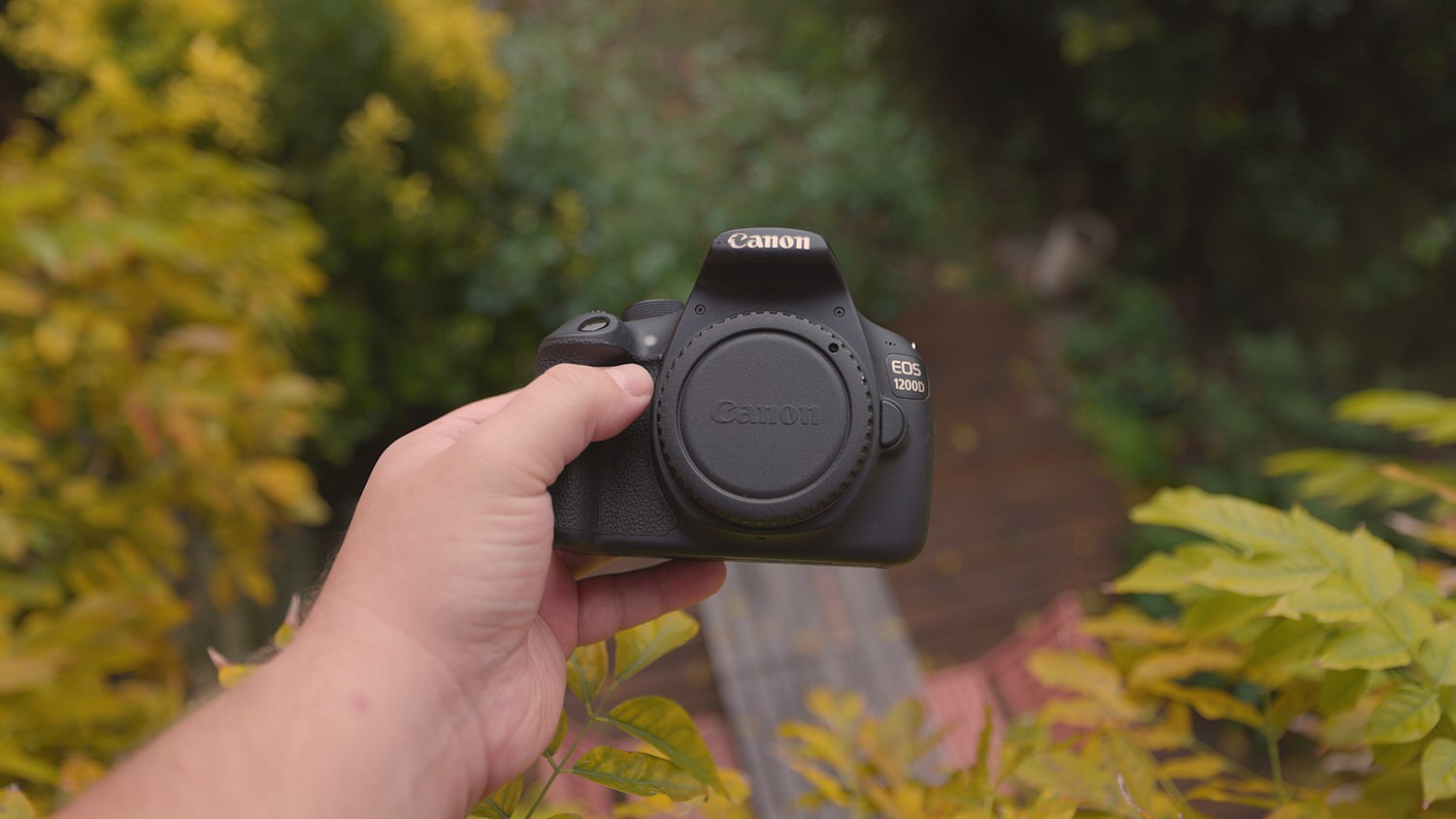 Is The Canon Rebel T5 Still Good in 2024? - SKYES Media