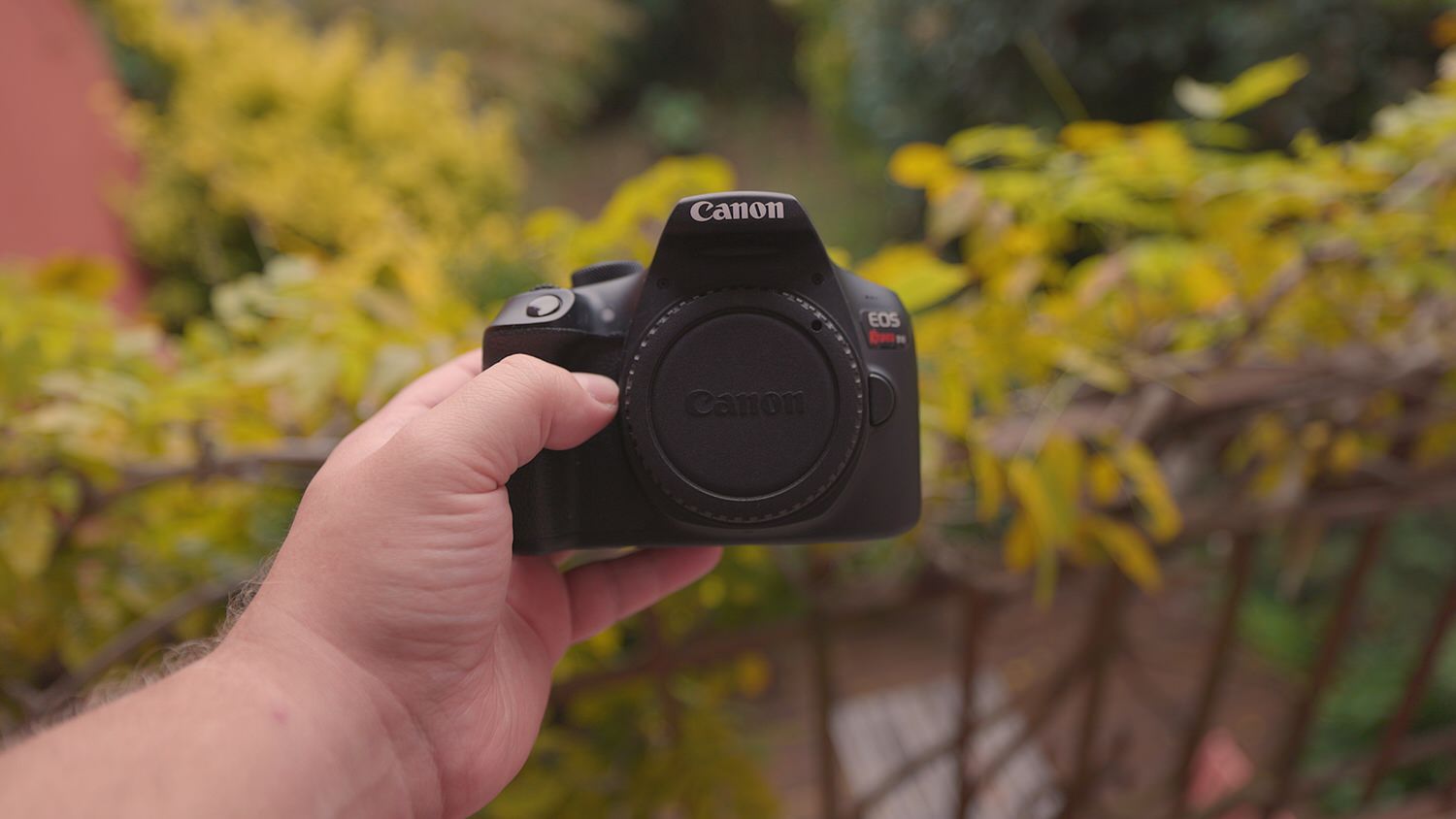 Canon Rebel T6 vs Canon Rebel T7? Which Is Better? - SKYES Media